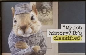 Need to Know: Key Phrase for Secret Squirrels to Understand - ClearanceJobs