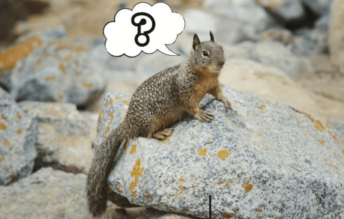 Are SSBI and SCI the Same? - ClearanceJobs