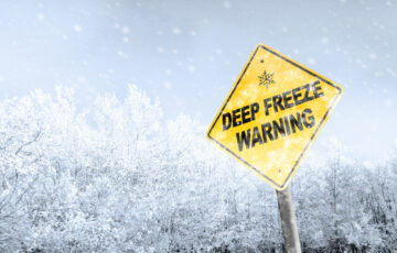 White House Freezes Most Federal Hiring Through Fall—Here’s Who’s Still ...